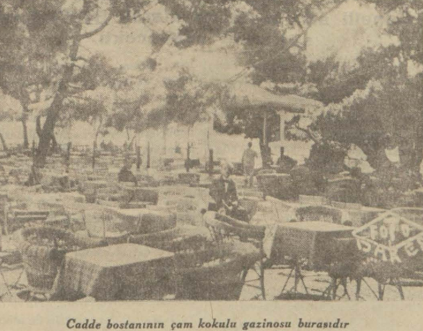 Caddebostan | Emre MUŞAZLIOĞLU