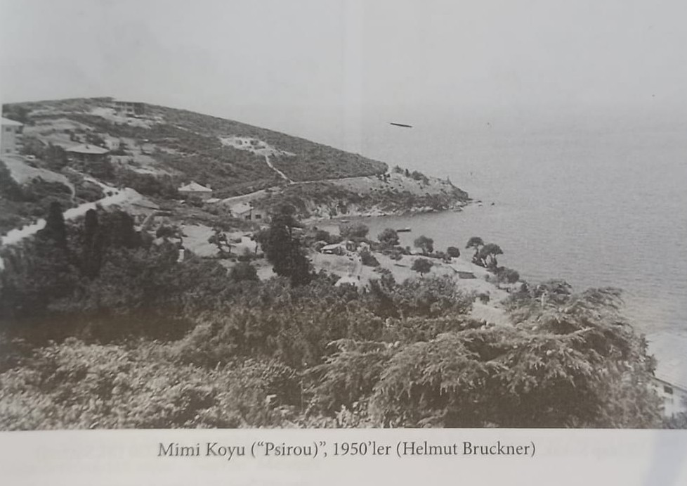 Prens adasının 84 aşığı...| Haberler