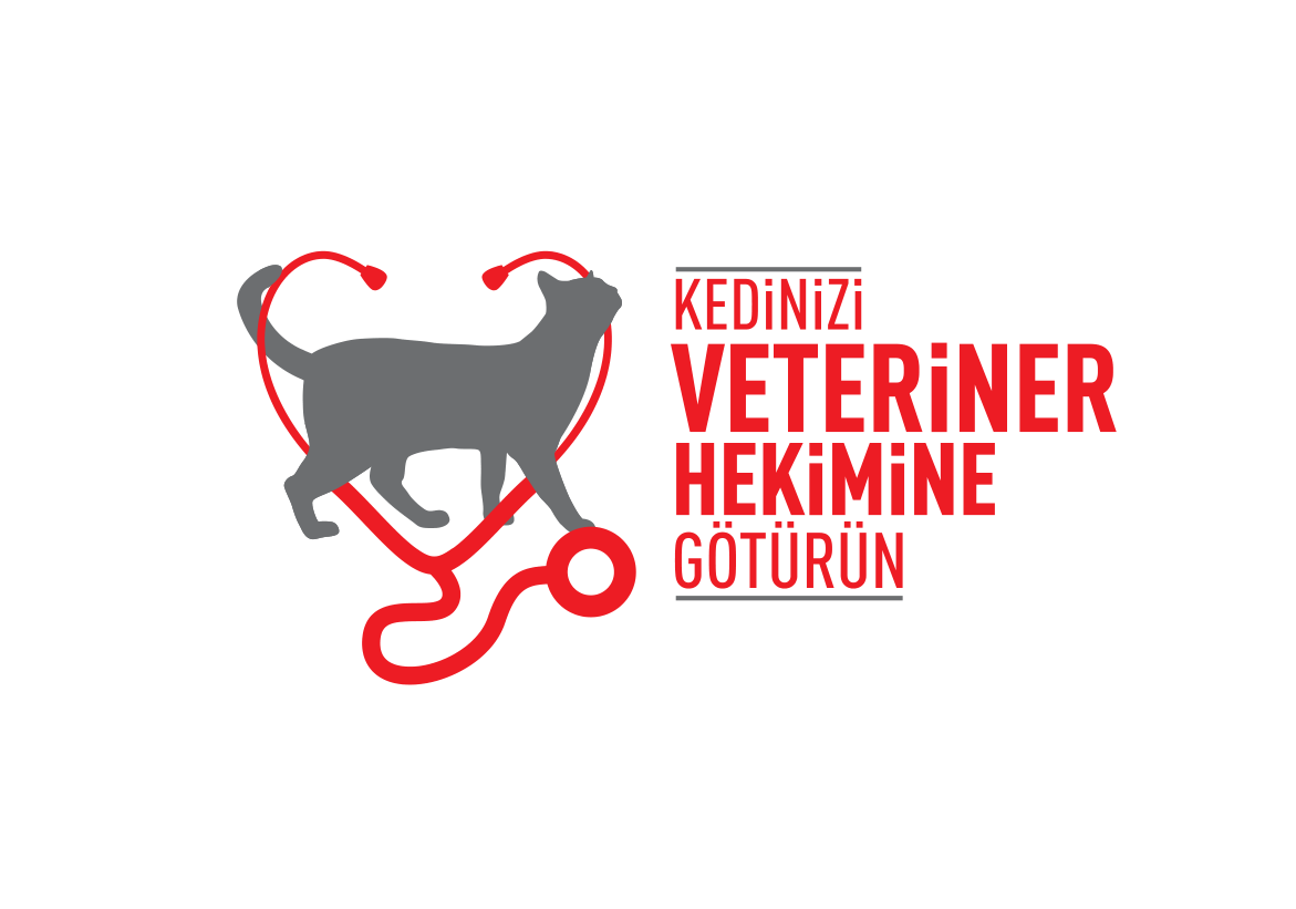 "Kedinizi veterinere götürün"| Haberler