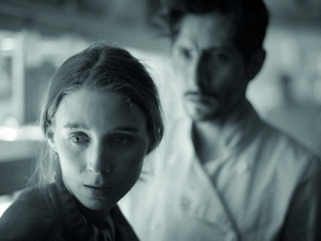 Sistem bizi ne güzel besliyor! | Alper TURGUT