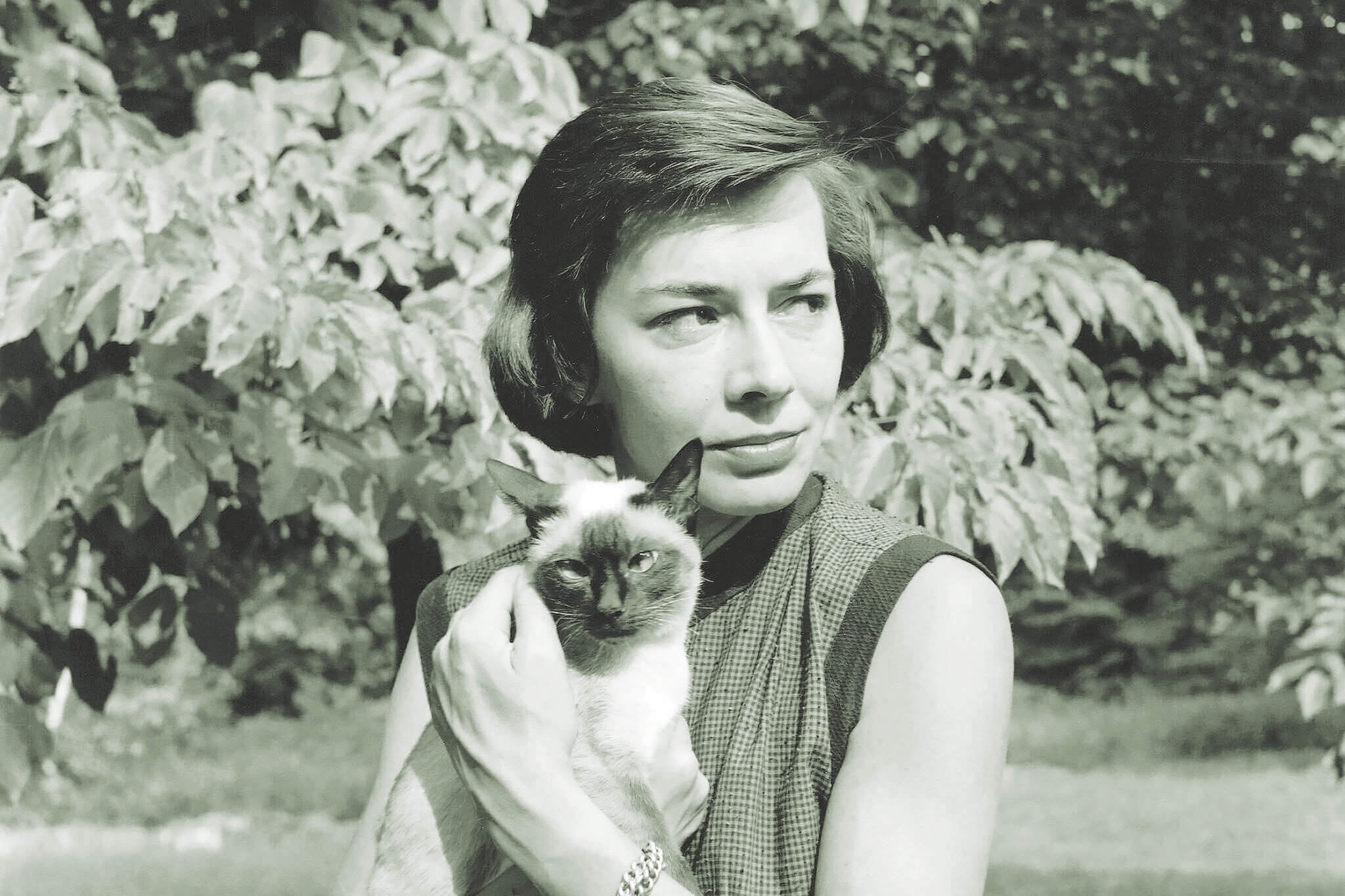 Patricia Highsmith: Trendeki Yabancılar| Haberler